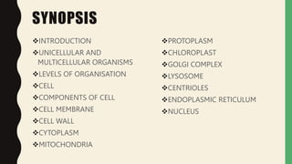cell biology ppt.pptx