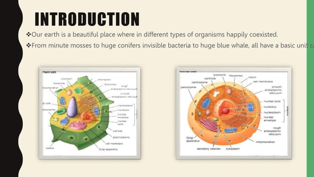 cell biology ppt.pptx