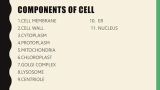 cell biology ppt.pptx