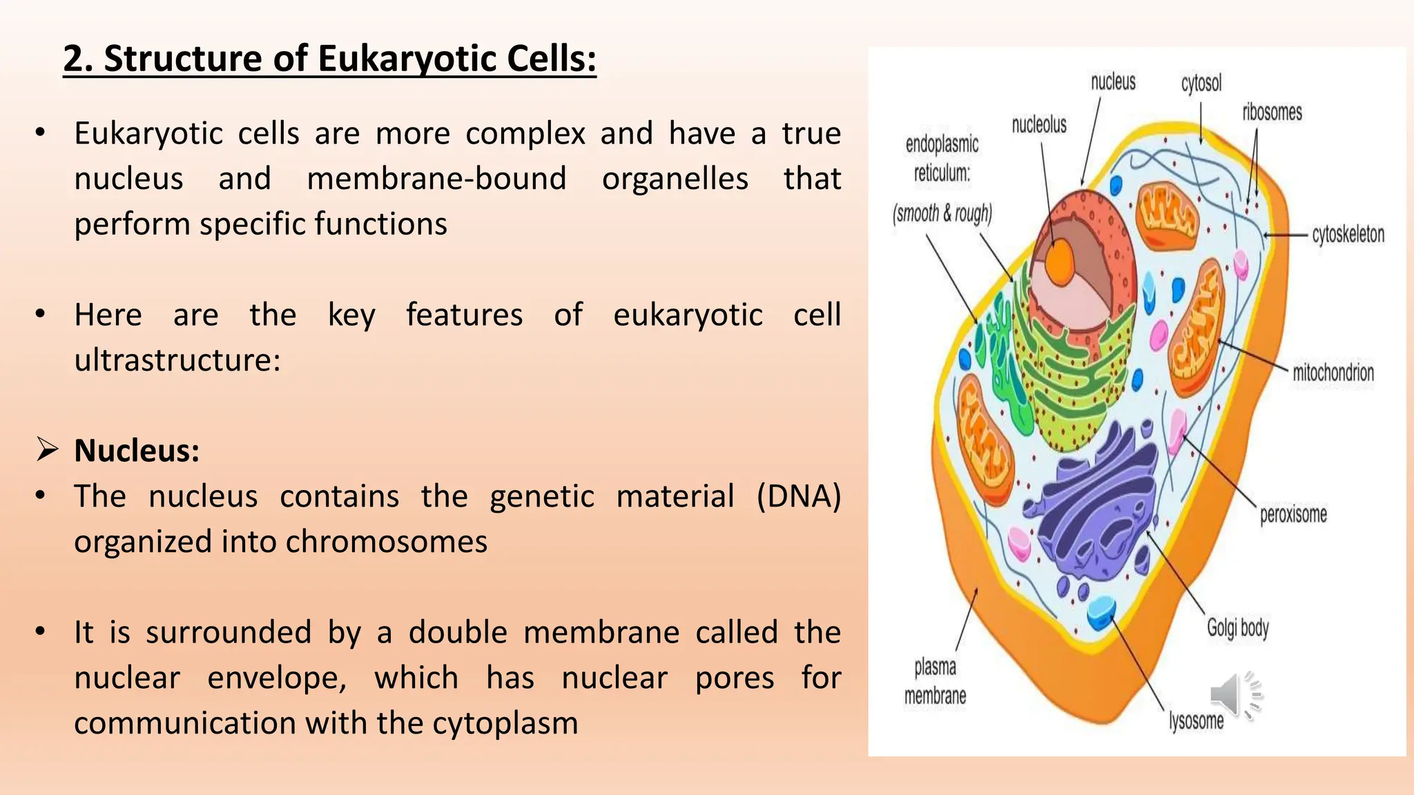 Ultrastructure of prokaryotic and eukaryotic cells | PPTX