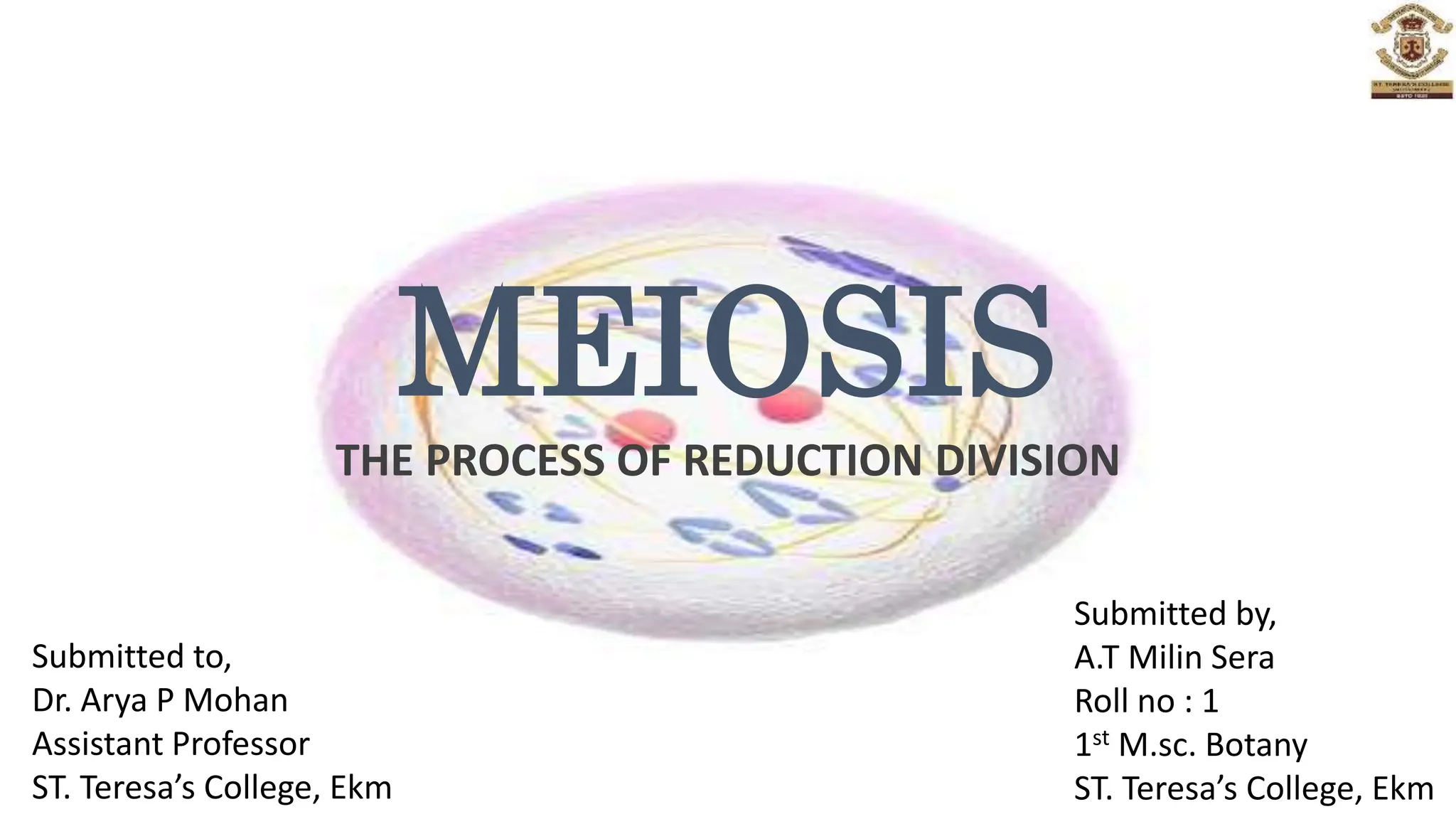 Meiosis : introduction and phases of meiosis. | PPT