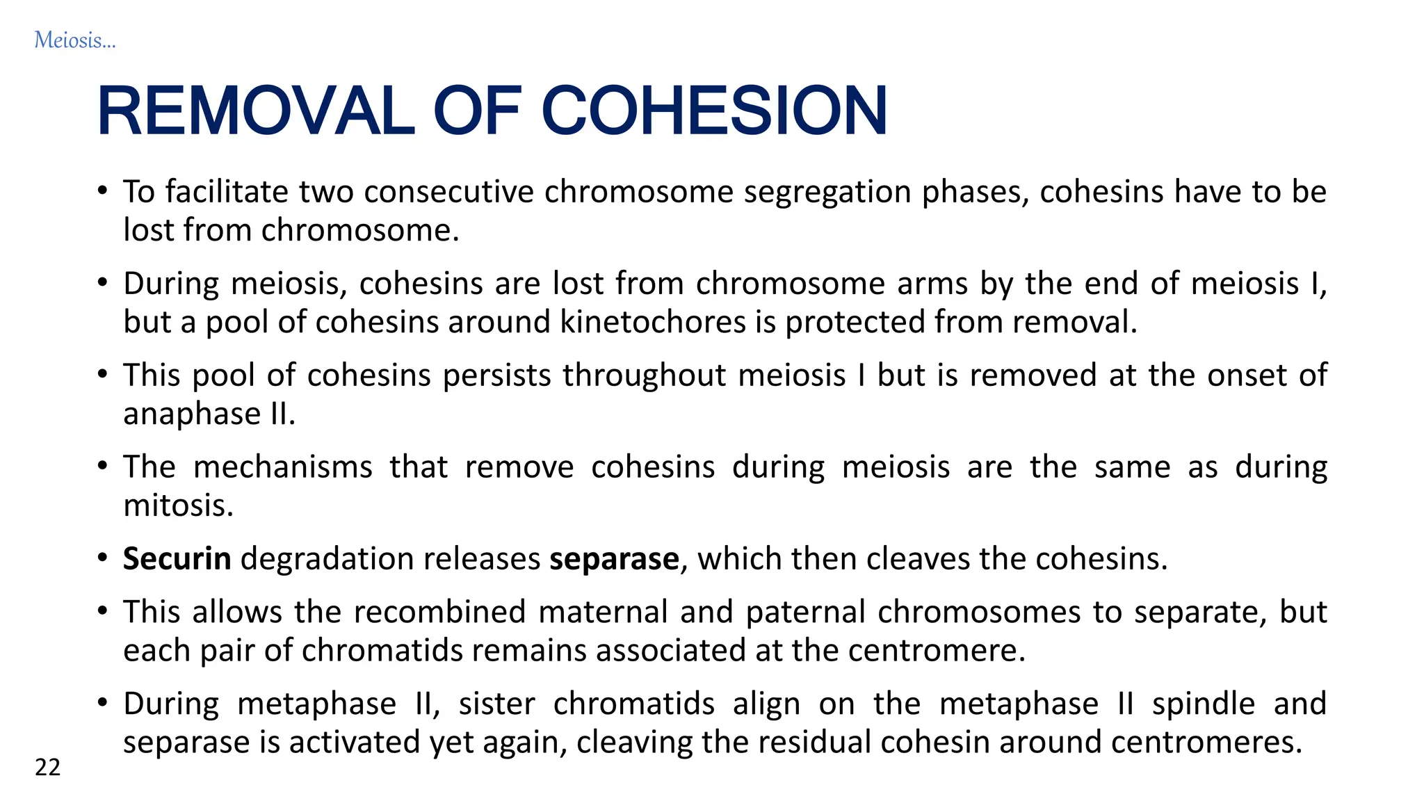 Meiosis : introduction and phases of meiosis. | PPT