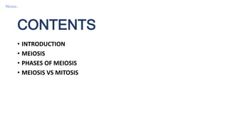 Meiosis : introduction and phases of meiosis. | PPT