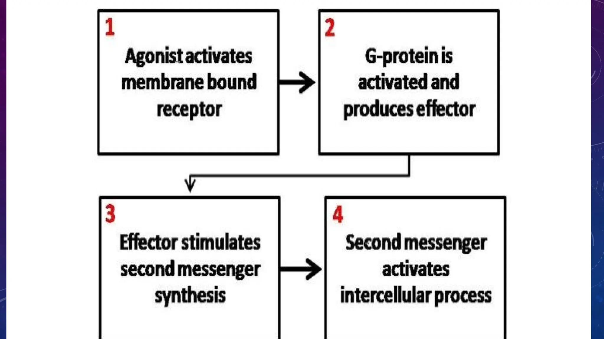 cell biology secondary messenger ppt.pptx