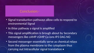 cell biology secondary messenger ppt.pptx