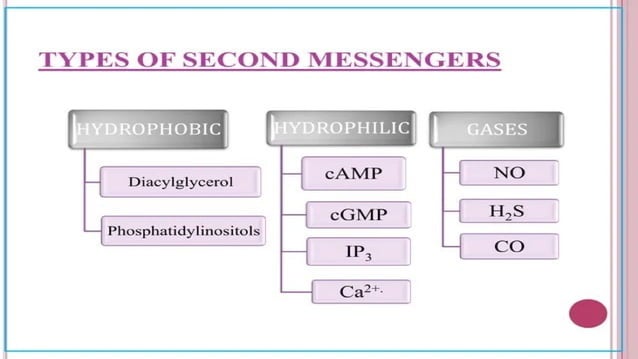 cell biology secondary messenger ppt.pptx