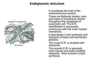 Cell biology structure of cell | PPTX