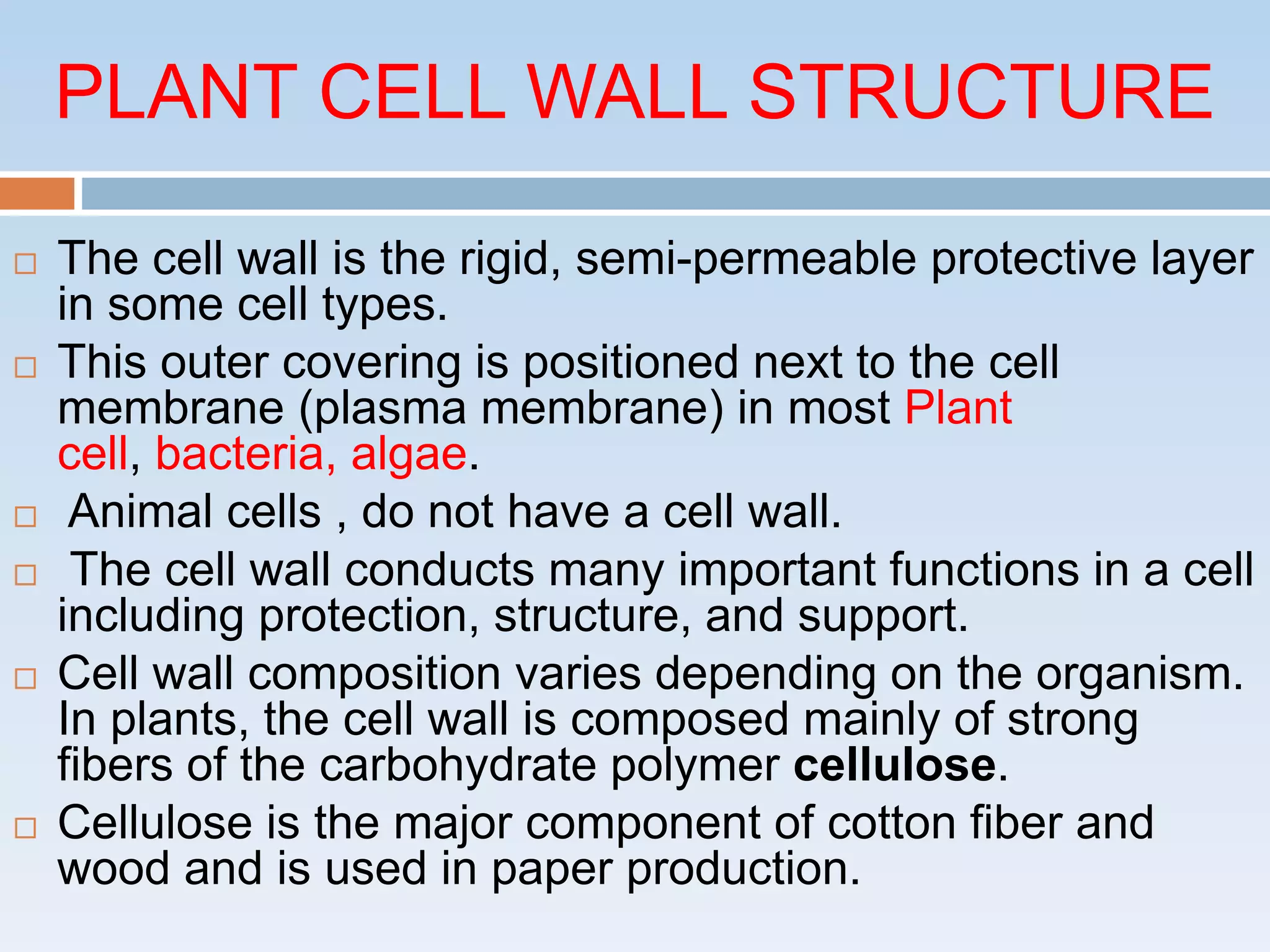 Cell Wall | PPTX