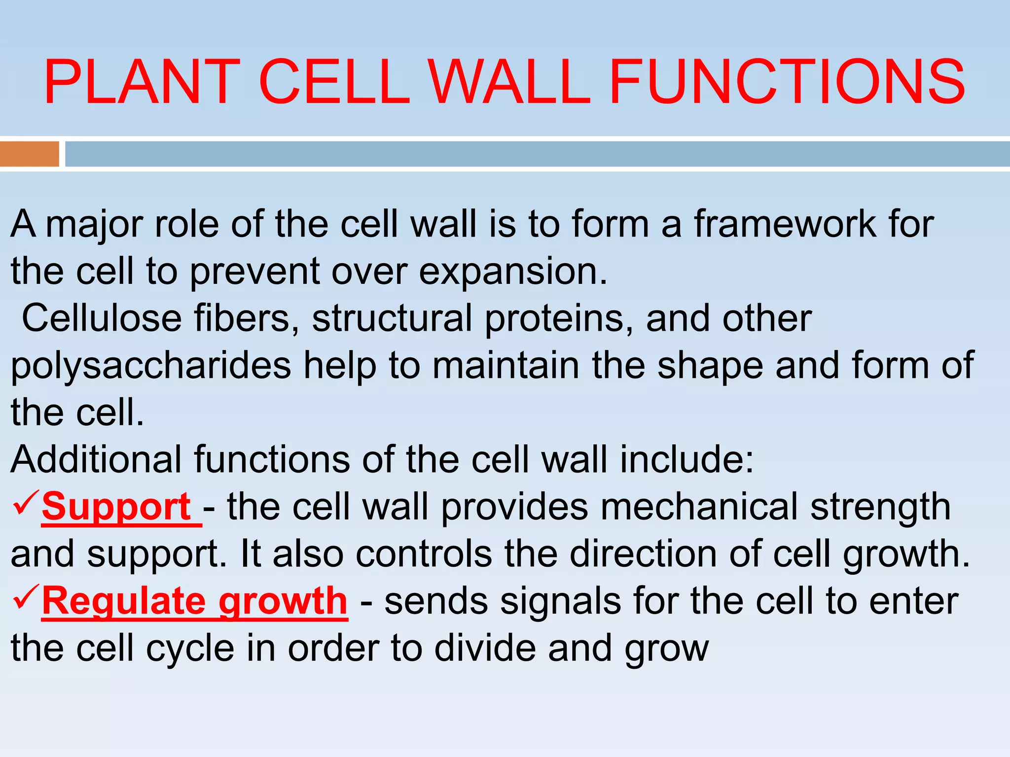 Cell Wall | PPTX
