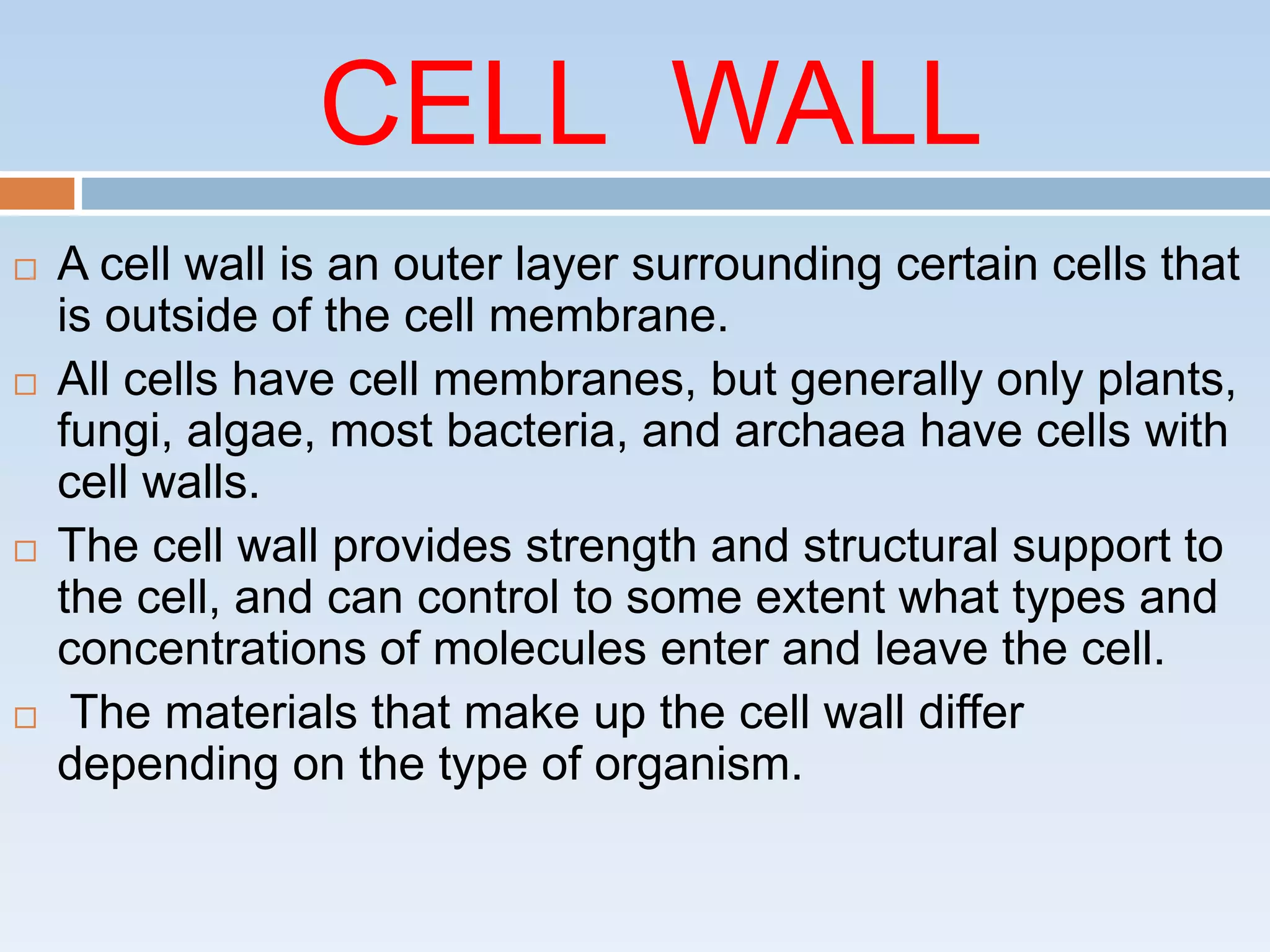 Cell Wall | PPTX