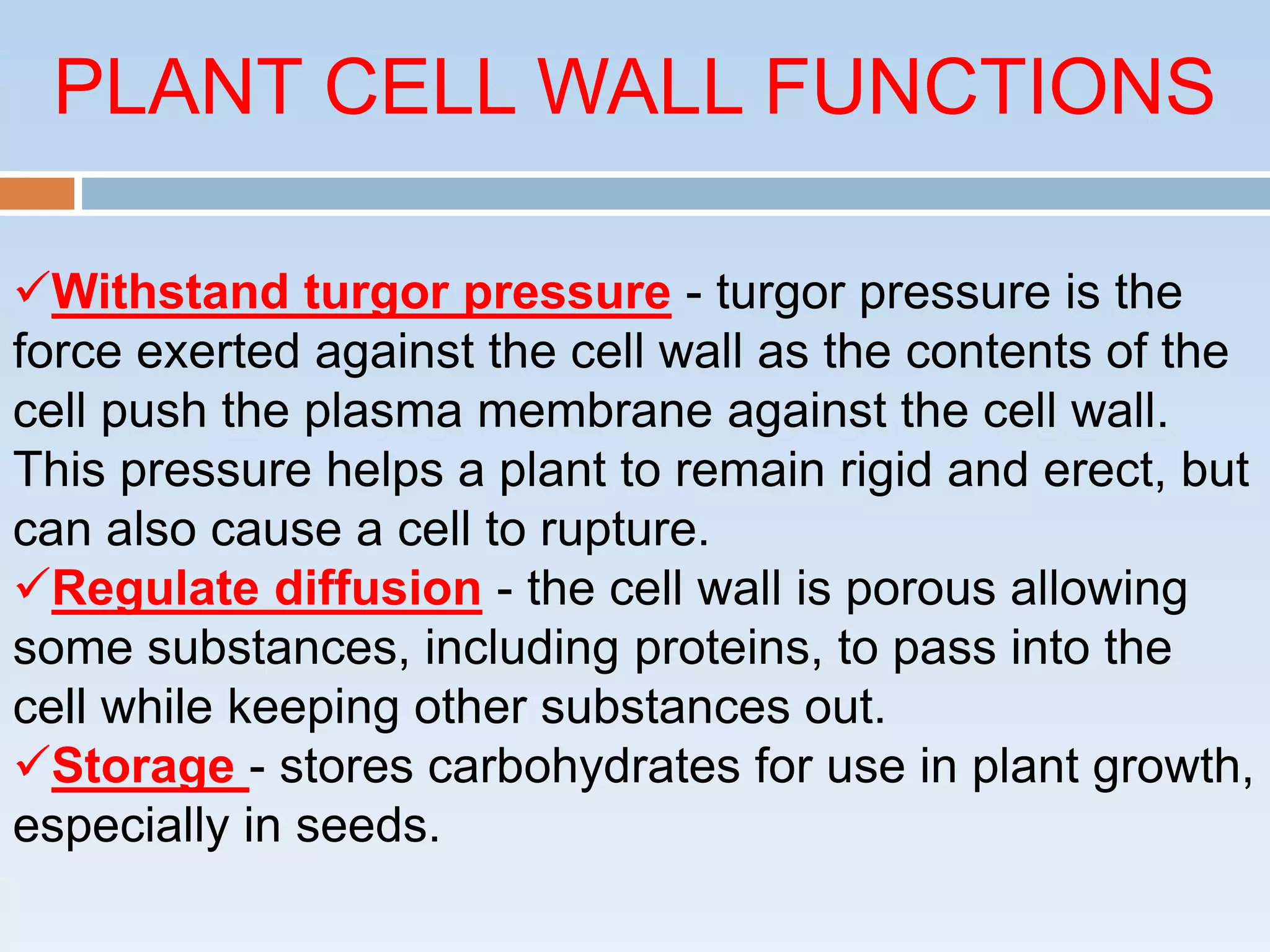 Cell Wall | PPTX | Gardening | Home & Garden