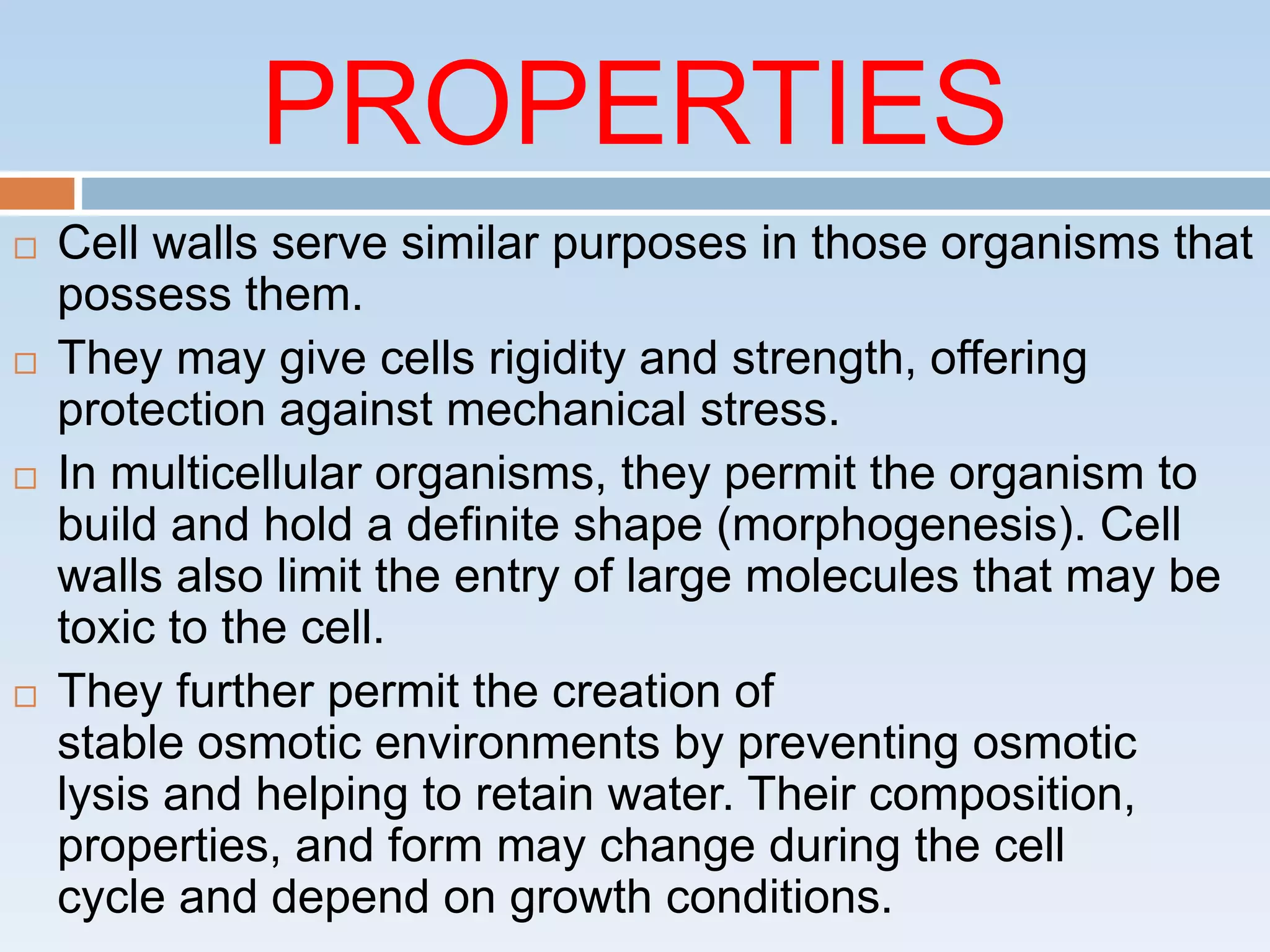 Cell Wall | PPTX