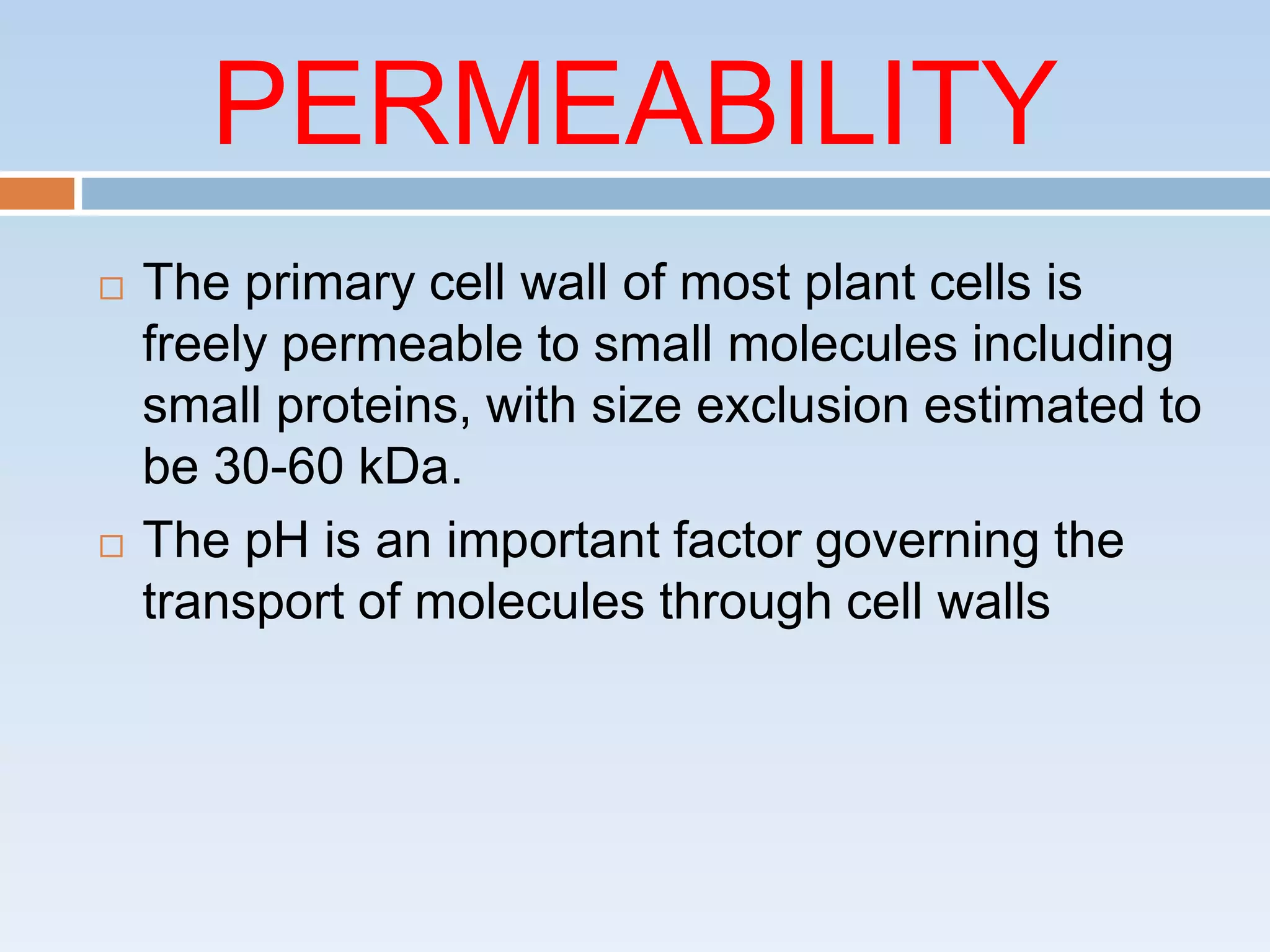 Cell Wall | PPTX