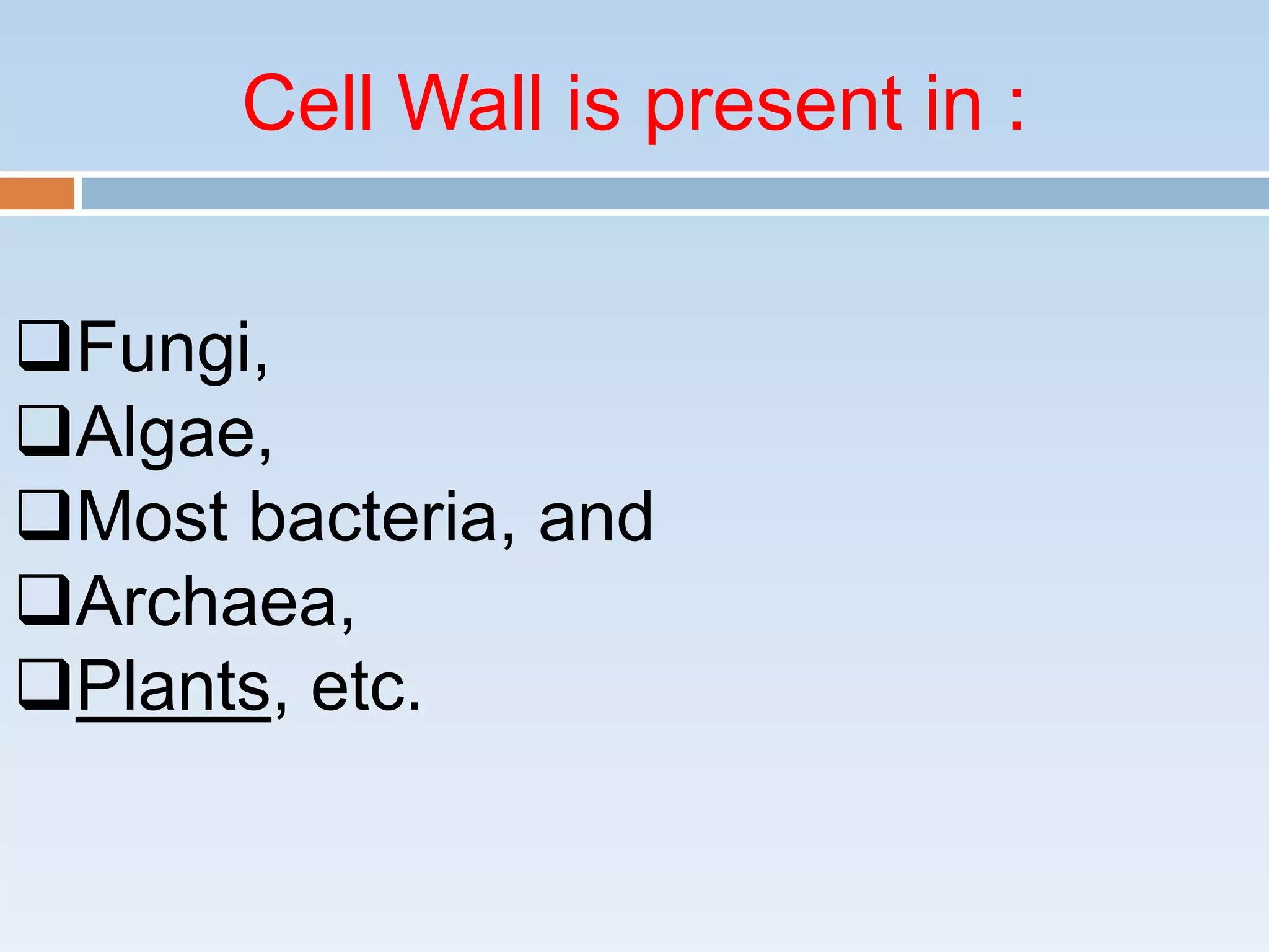 Cell Wall | PPTX