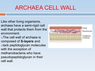 Cell Wall | PPTX