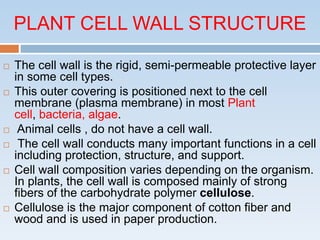 Cell Wall | PPTX | Gardening | Home & Garden