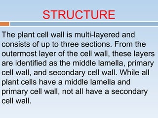 Cell Wall | PPTX | Gardening | Home & Garden