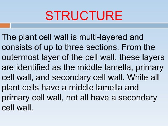 Cell Wall | PPT