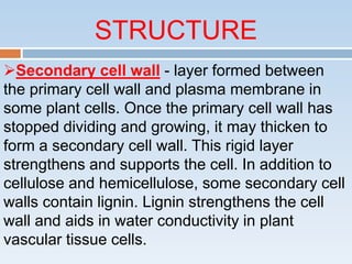 Cell Wall | PPTX