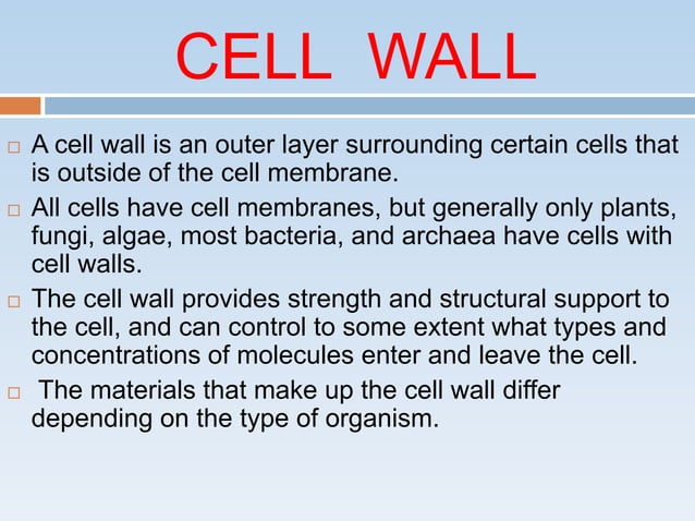 Cell Wall | PPT