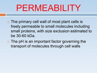 Cell Wall | PPTX | Gardening | Home & Garden