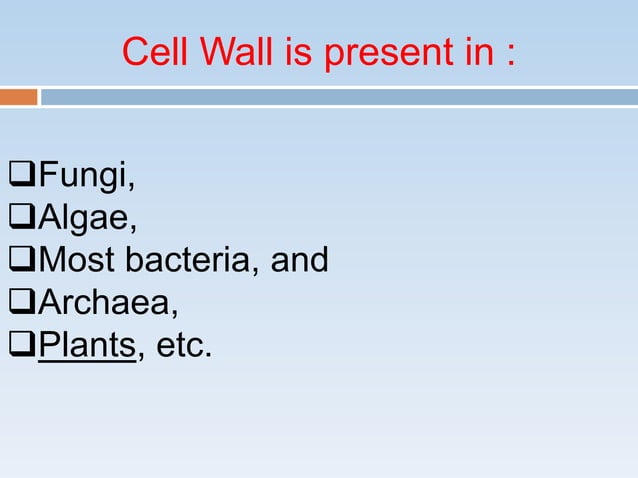 Cell Wall | PPT