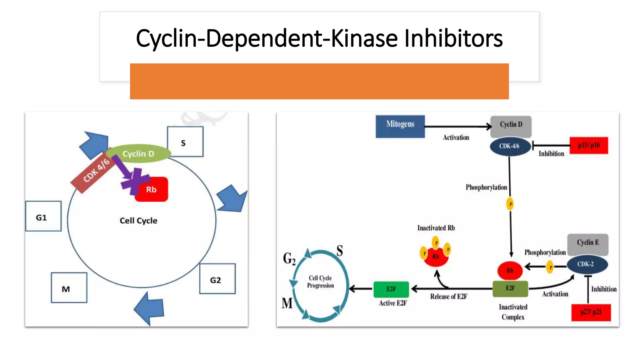 Cyclin Dependent Kinase Inhibitors | PPTX