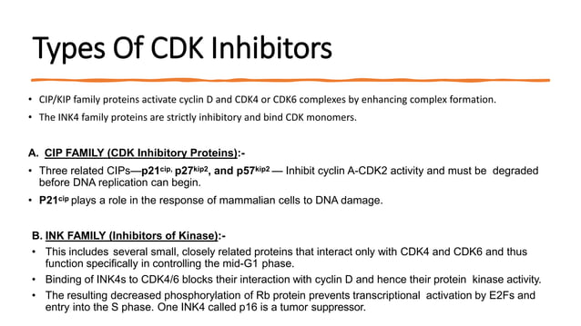 Cyclin Dependent Kinase Inhibitors | PPTX | Endocrine and Metabolic ...