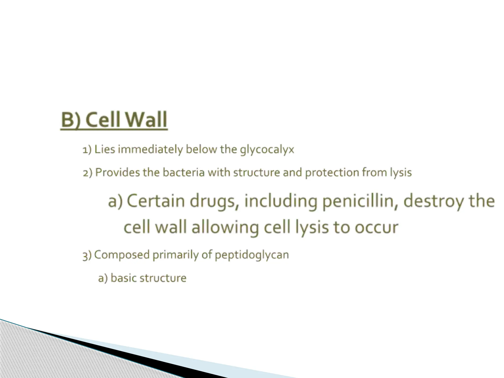 CELL BIO PPT PRO.pptx advanced cell biology | PPT