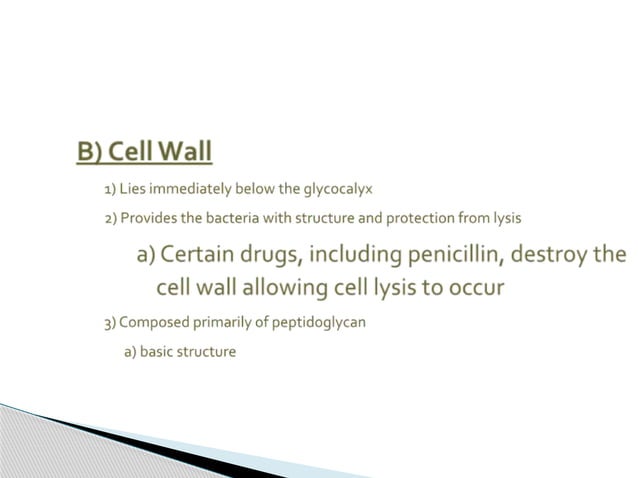 CELL BIO PPT PRO.pptx advanced cell biology | PPTX