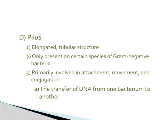 CELL BIO PPT PRO.pptx advanced cell biology | PPTX