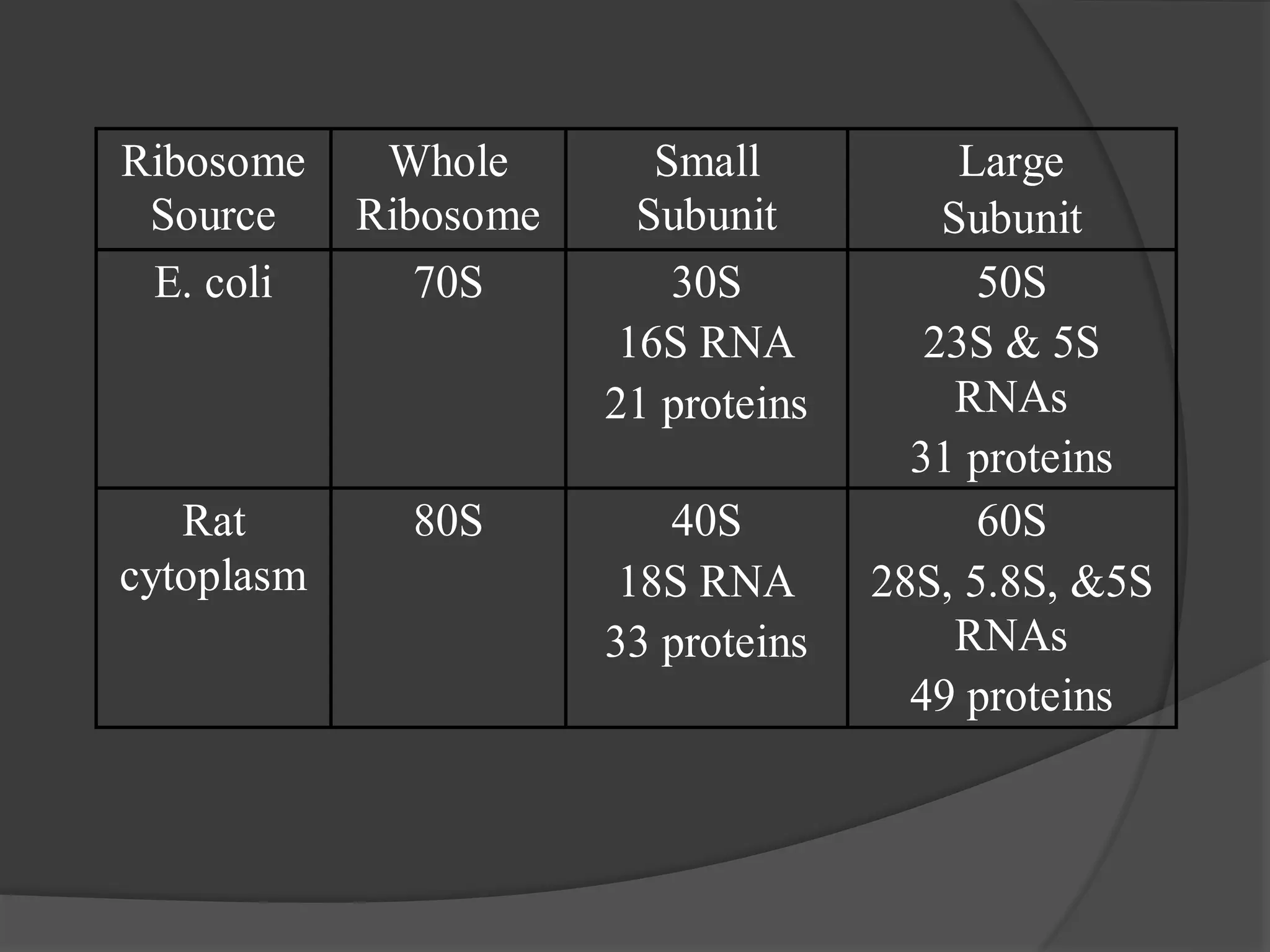 RIBOSOMES | PPTX