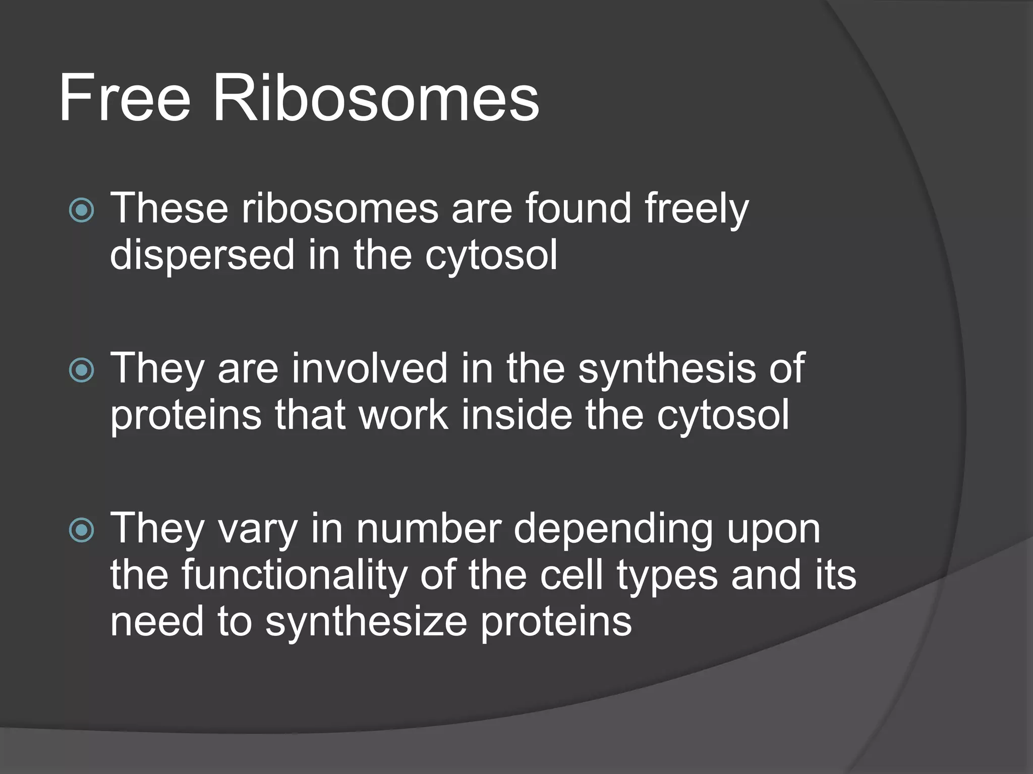 RIBOSOMES | PPTX