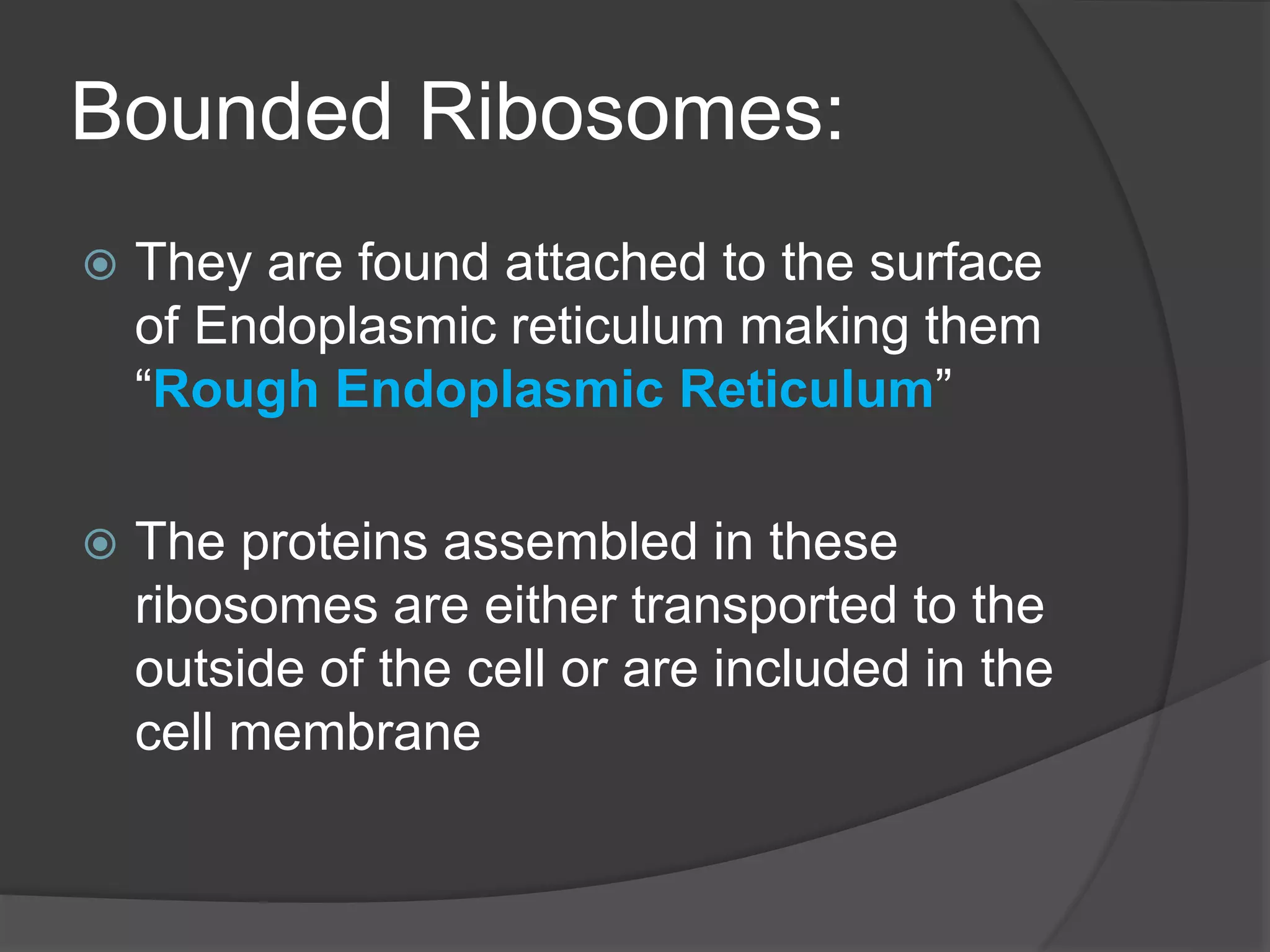RIBOSOMES | PPTX