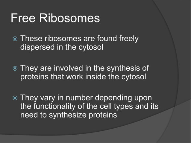 RIBOSOMES | PPTX | Biological Sciences | Science