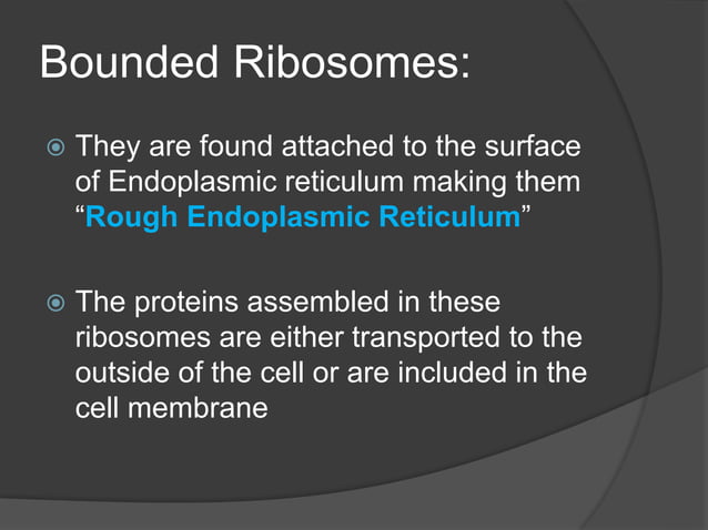 RIBOSOMES | PPTX | Biological Sciences | Science