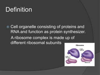 Ribosome Definition