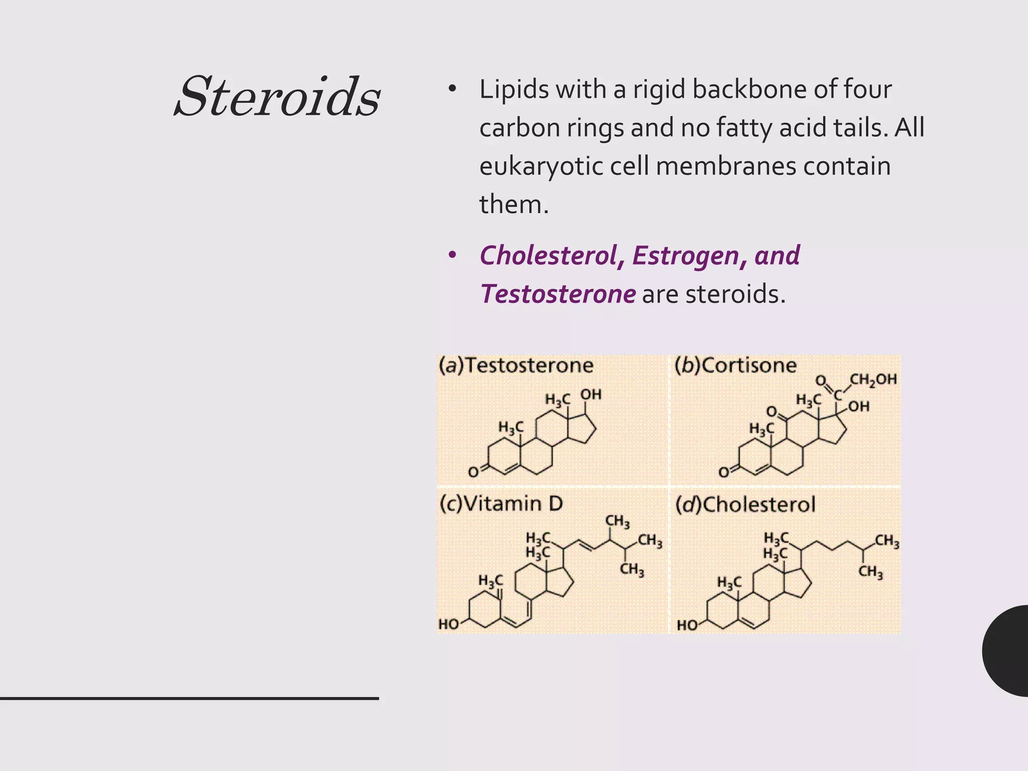 lipids and nucleic acids | PPTX