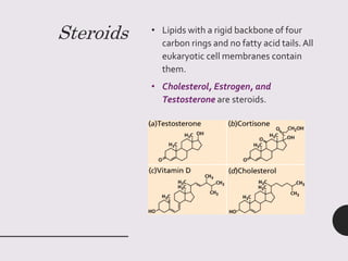 lipids and nucleic acids | PPTX