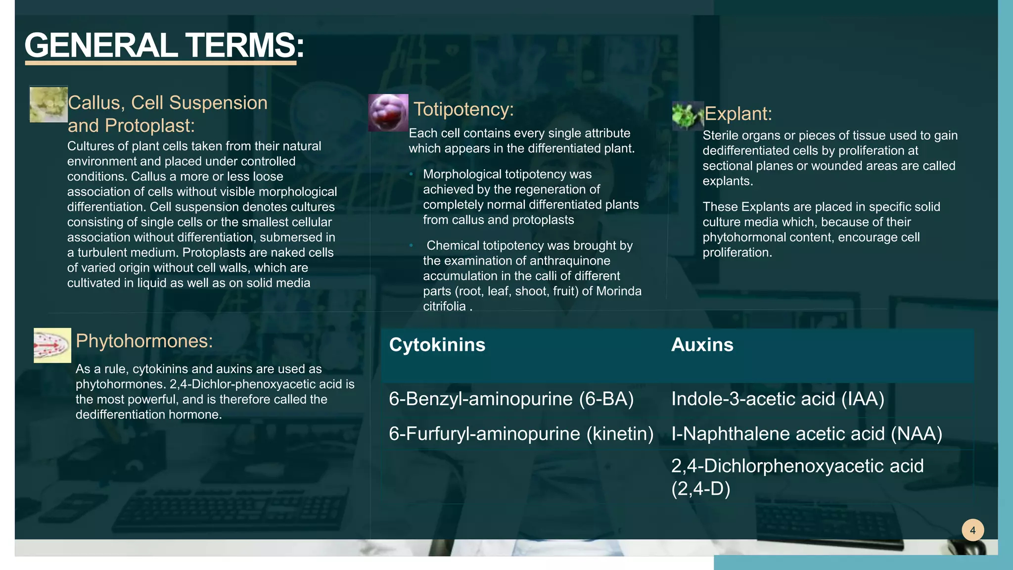 Cell biotechnology and plant cell culture | PPTX