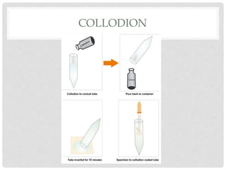 Cell block | PPT | Free Download