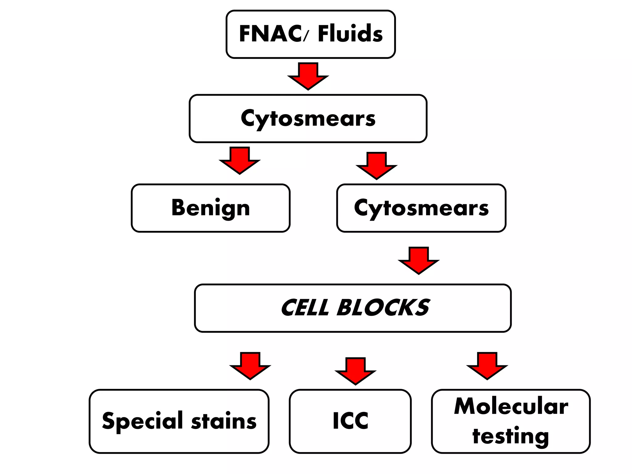 Cell block and its diagnostic utility | PPTX