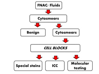 Cell block and its diagnostic utility | PPTX