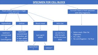 Cell block.pdf