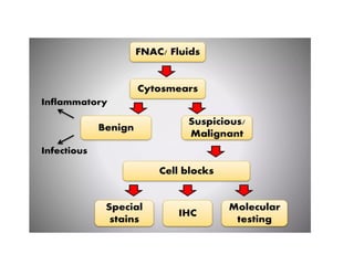 CELL BLOCK and its diagnostic utility in histopathology | PPTX