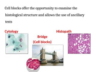 cellblockCYTOLOGY MLTdiss1-170425170805.ppt