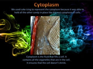 Cell cake project | PPT