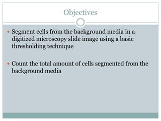 Cell calculation | PPT