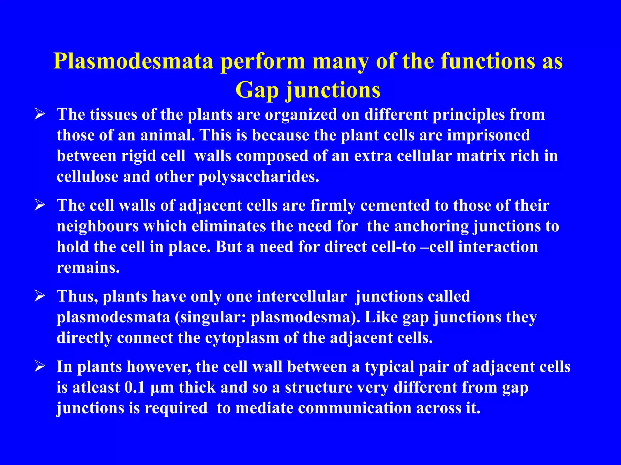 _Cell cell cross talk.ppt