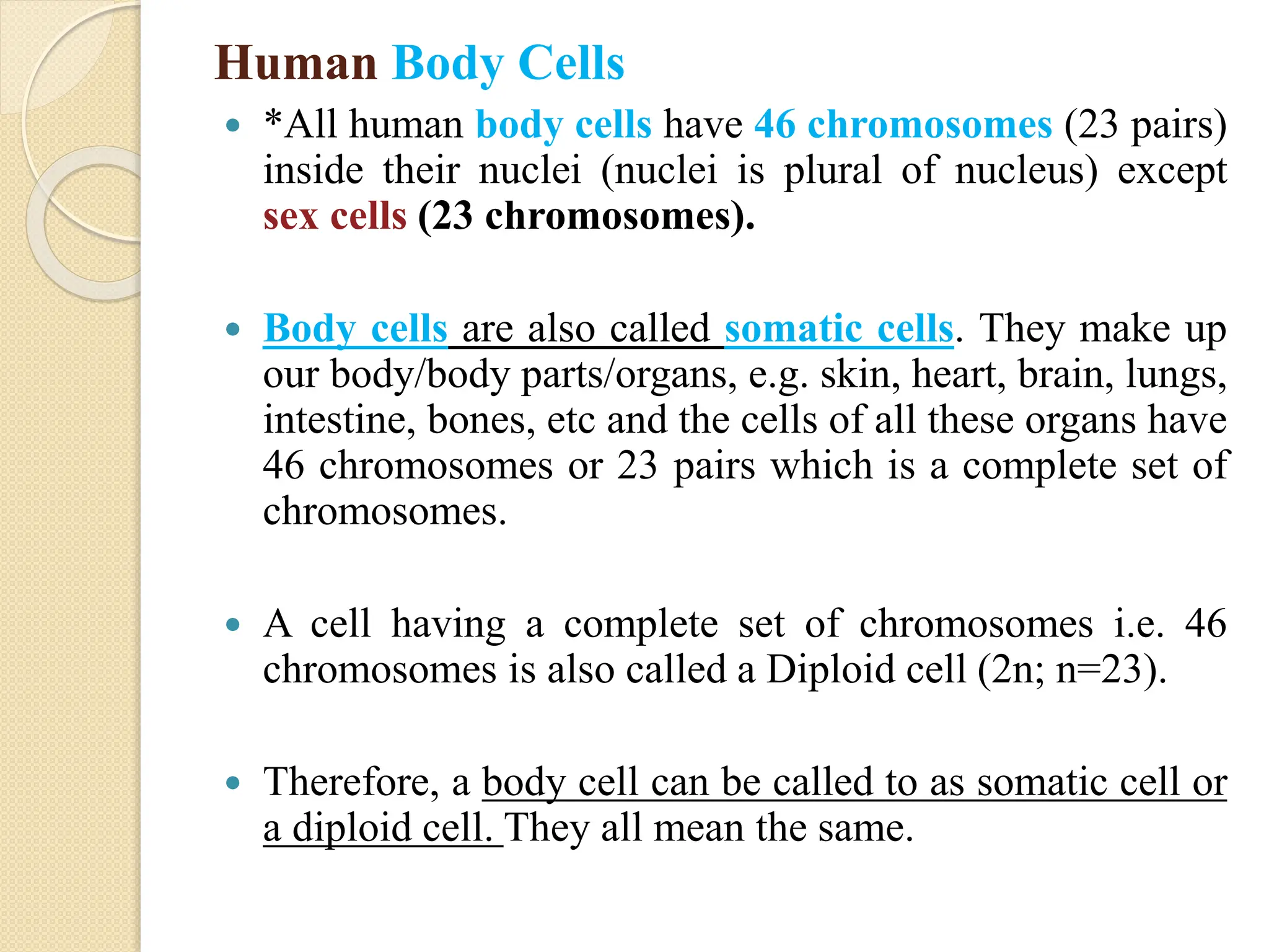 Presentation on the Cell, cell cycle.pptx